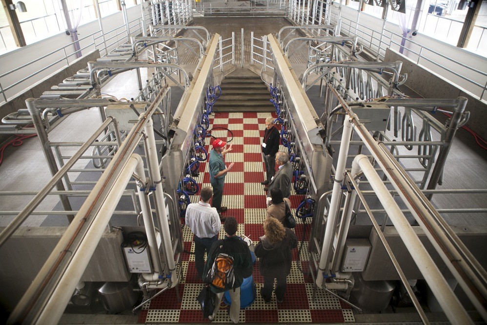 Picture Cornell Oct. 2, 2012 | Cornell Chronicle