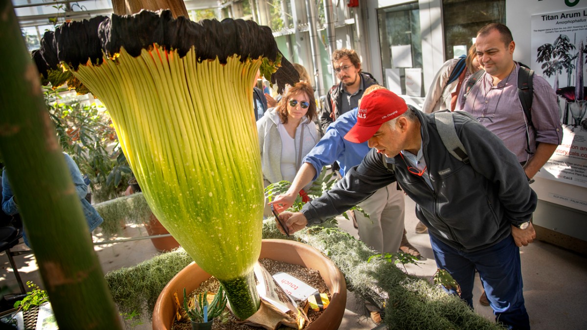 Photos of the Day, Week of Sept. 16, 2019 | Cornell Chronicle