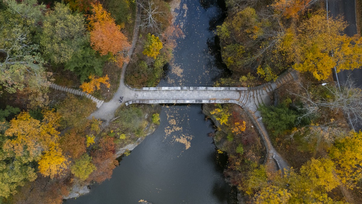 Photos of the Day, October 17, 2022 | Cornell Chronicle