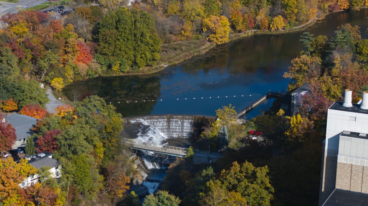 Photos of the Week, October 28, 2024 | Cornell Chronicle