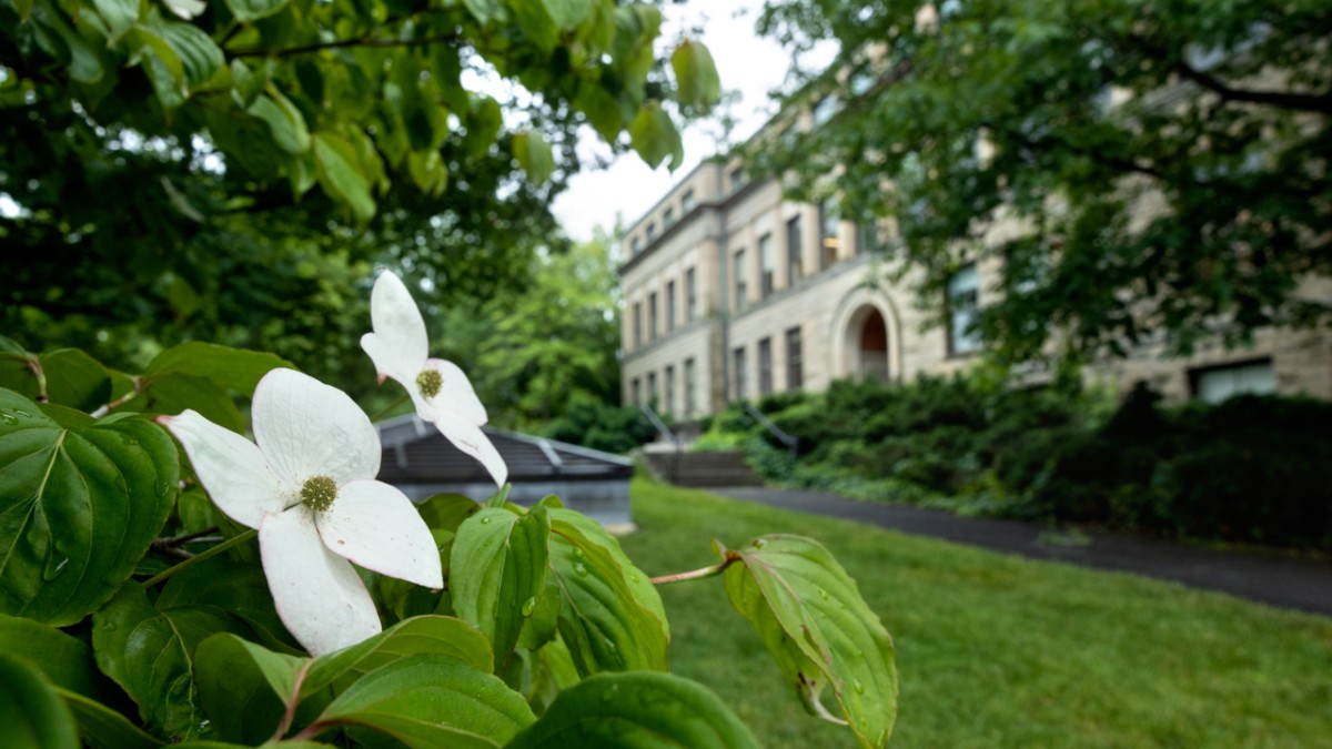 Home | Cornell Chronicle