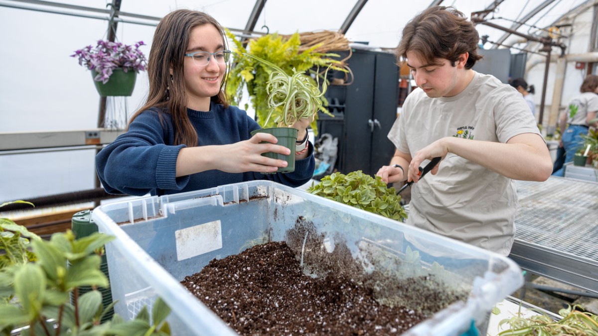 Home | Cornell Chronicle