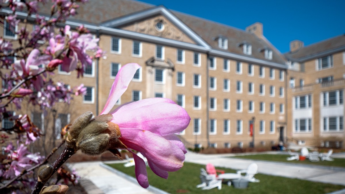 Home | Cornell Chronicle