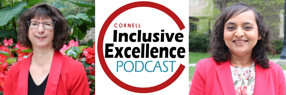 Inclusive Excellence Podcast: DEI – More than just an acronym | Cornell ...