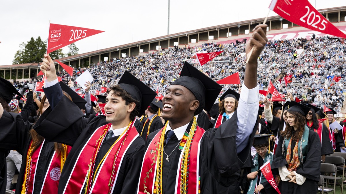 Commencement 2025 | Cornell Chronicle