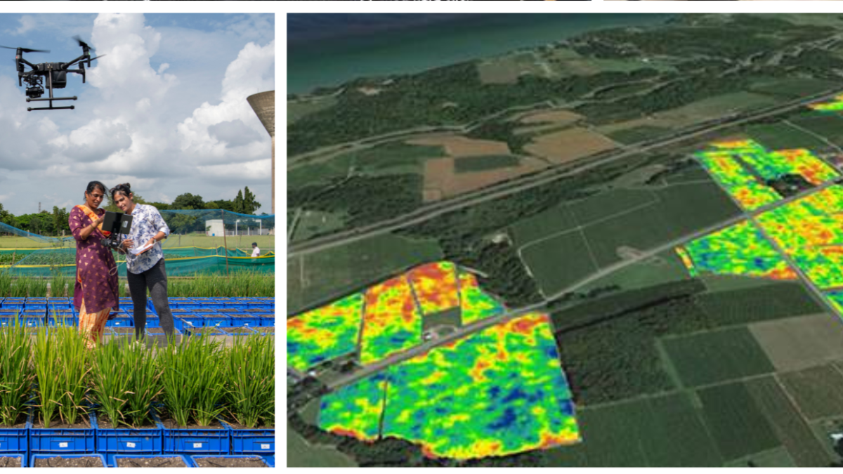 Cornell Institute for Digital Agriculture powers 15 innovative new ...