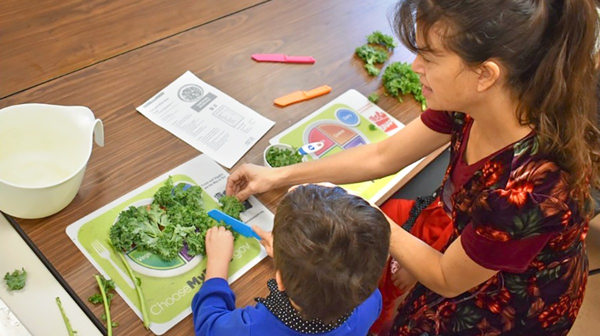 Beloved nutrition programs for low-income NYS residents set to end ...