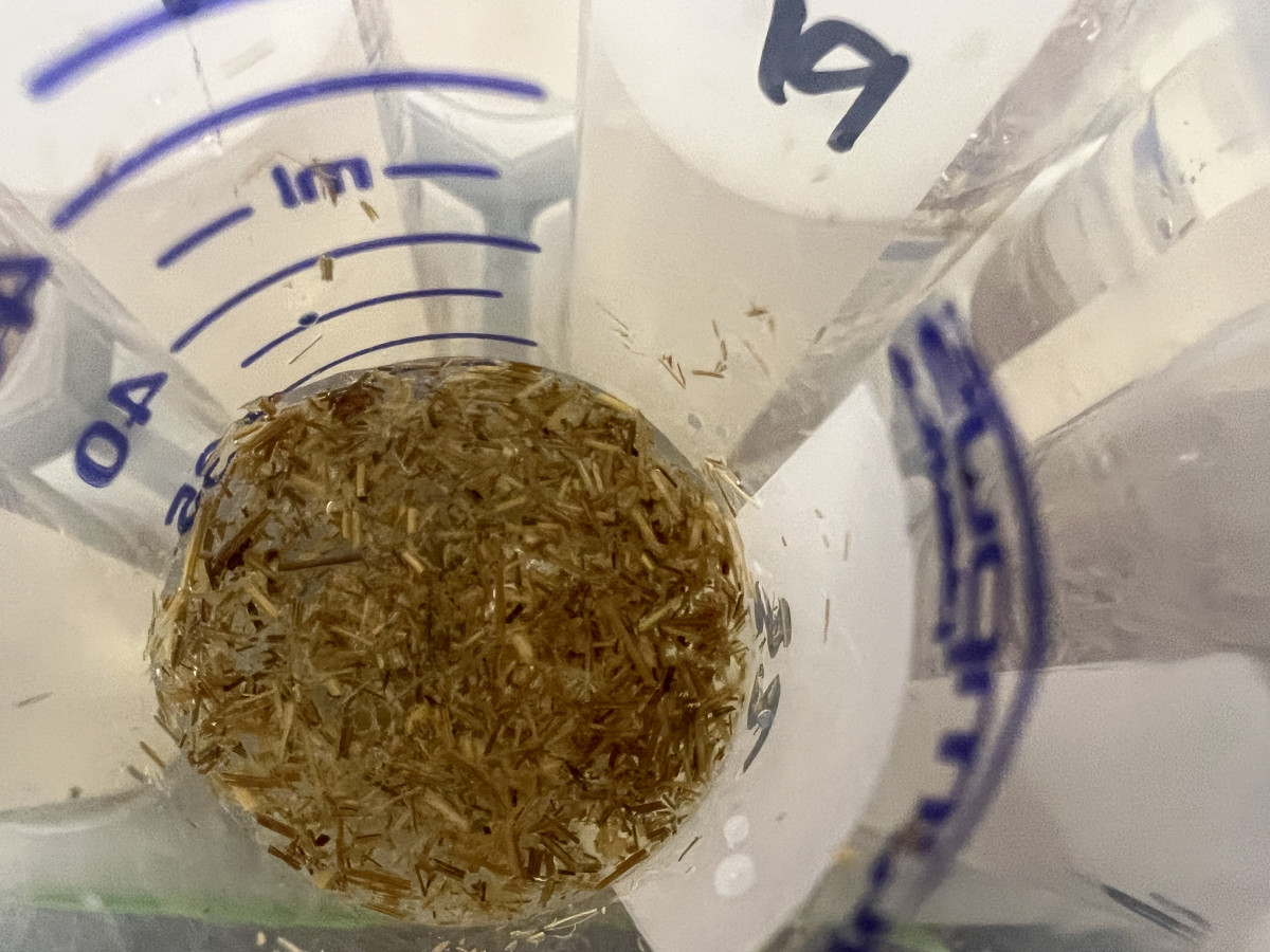 Soil molecular diversity spikes as microbes decompose plants | Cornell ...