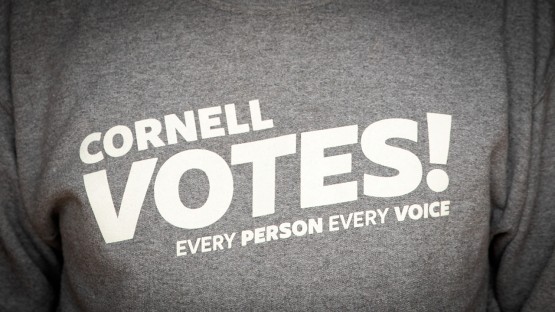 Cornell Votes hails 2020 rise in student voter turnout | Cornell Chronicle