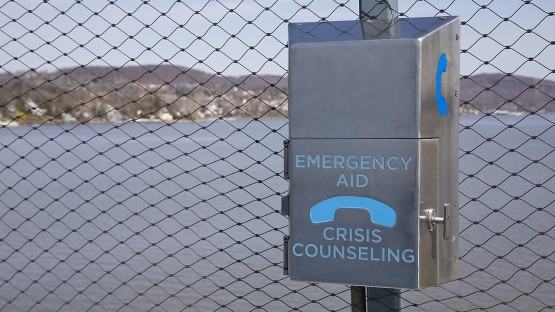 New study reveals preventable suicide risk profiles | Cornell Chronicle