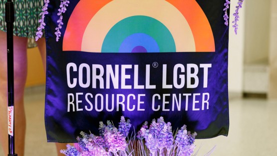 Classroom tips, resources provided in new LGBTQ guide | Cornell Chronicle