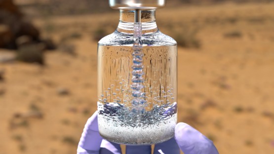 Organoids shown to speed glycoengineered vaccine development | Cornell ...