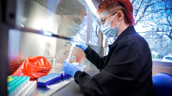 Partnerships fuel COVID testing lab’s success | Cornell Chronicle