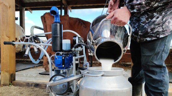 Nutrition solution can help heat-stressed cows as US warms | Cornell ...