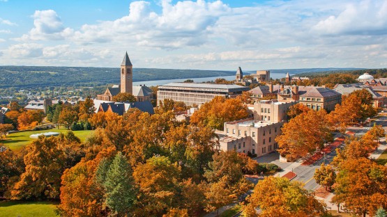 Cornell awarded for excellence in diversity and inclusion | Cornell ...