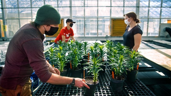 $2M bequest to benefit students in plant sciences | Cornell Chronicle