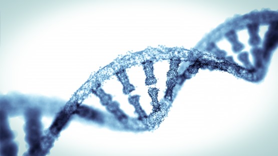 Study: Jumping gene steals bacterial ‘gene-editing’ system | Cornell ...