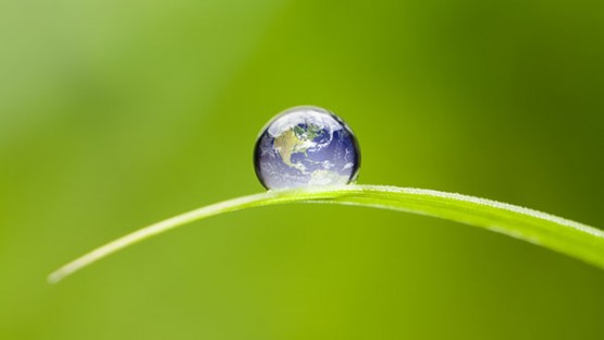 Satellite data paints a portrait of global plant health | Cornell Chronicle