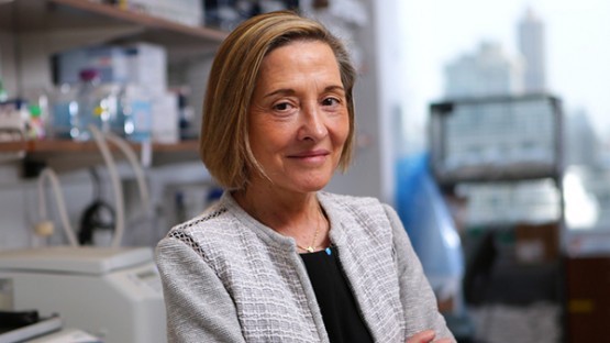 Weill Cornell Medicine researcher wins Lupus Insight Prize | Cornell ...