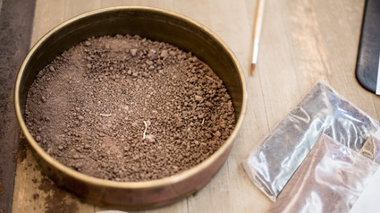 Dec. 5 global soil painting competition illustrates soil’s vital role ...