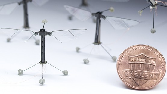 Engineers program tiny robots to move, think like insects | Cornell ...