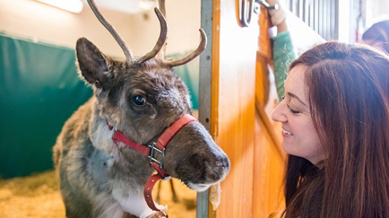 Reindeer’s gift saves brother from devastating illness | Cornell Chronicle