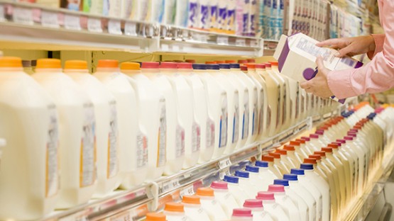 Bright LED dairy cases speed off-flavors in skim milk | Cornell Chronicle