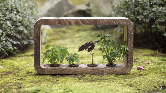 Smart Herbs Weather App Among Engineering Innovation Winners Cornell