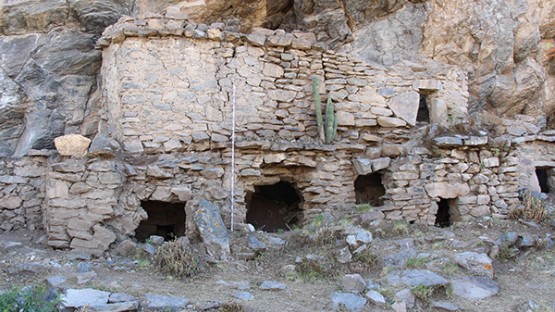 Infant skull binding may have conveyed privilege in ancient Andes ...