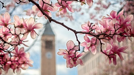 Forum on geothermal energy project set for May 17 | Cornell Chronicle