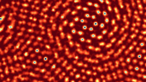 Guinness World Record for micro view into hidden worlds | Cornell Chronicle