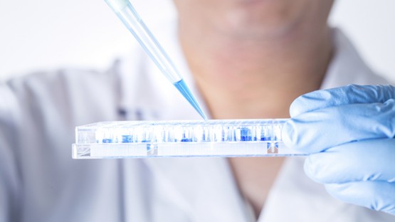 $61M grant funds translational science at Weill Cornell Medicine ...