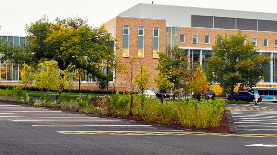 Cornell’s new Sustainable Landscapes Trail opens Oct. 5 | Cornell Chronicle