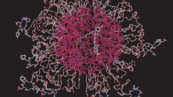 Cornell dots research collaboration leads to $10M cancer center ...