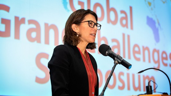 Cornell faculty, leadership begin to tackle grand challenges | Cornell ...
