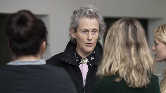 Animal behavior expert Temple Grandin’s ideas spring from her autism ...