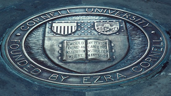 VP Lombardi issues statement on recent North Campus incidents | Cornell ...
