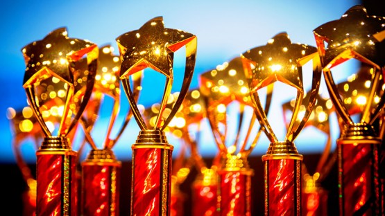 Eighth annual TOGO awards celebrate community engagement | Cornell ...