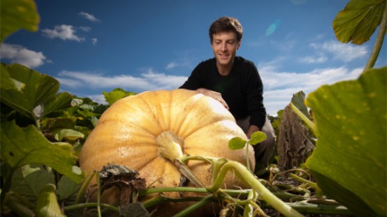 Big Red Pumpkin Regatta Oct. 4 buoys attention | Cornell Chronicle