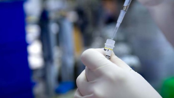 Starr Foundation extends NYC stem cell research support with $50M gift ...