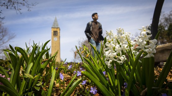 Klarman postdoctoral fellowship program announced | Cornell Chronicle