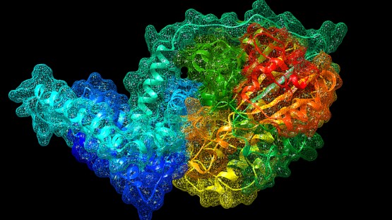 Cornell scientists discover new antibiotic resistance gene | Cornell ...