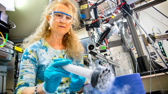 NIH awards $17.4 million to Cornell for CHESS subfacility | Cornell ...