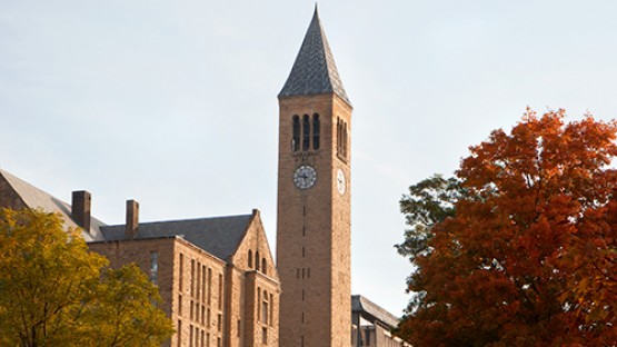 Application portal opens for new Klarman Fellowships | Cornell Chronicle