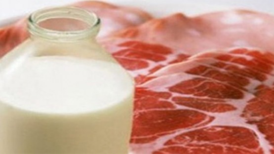 New DNA cattle test beefs up dairy and meat quality | Cornell Chronicle