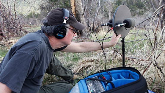 Cornell audio producer's radio series wins award | Cornell Chronicle