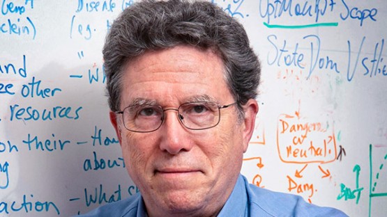 Cornell Neurotech lecture to feature Caltech scientist | Cornell Chronicle