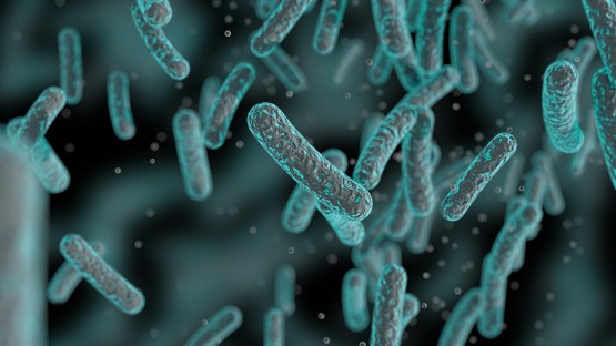 Weill Cornell study: New species are all around us | Cornell Chronicle