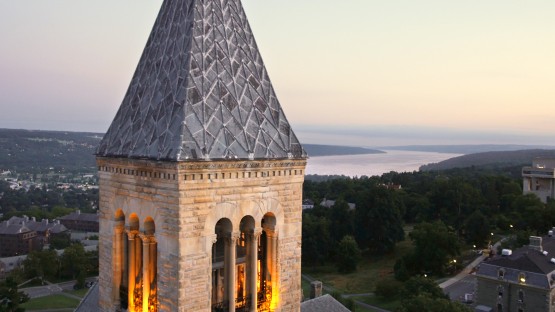 Classes move online for semester to combat coronavirus | Cornell Chronicle