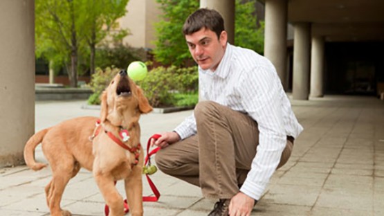 Aging research goes to the dogs | Cornell Chronicle
